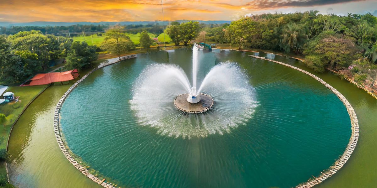 How to Improve Your Pond's Health and Beauty with Aeration — Lake n Pond